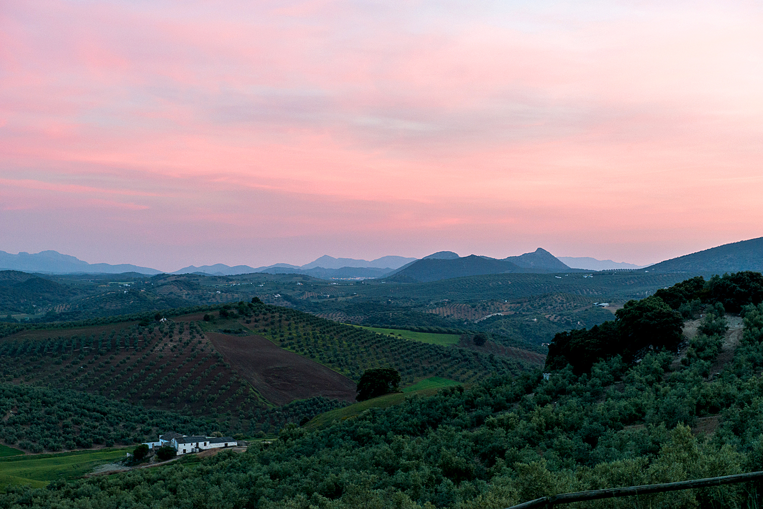 Painting Holidays in Lippiano Italy - Escape Painting Holidays